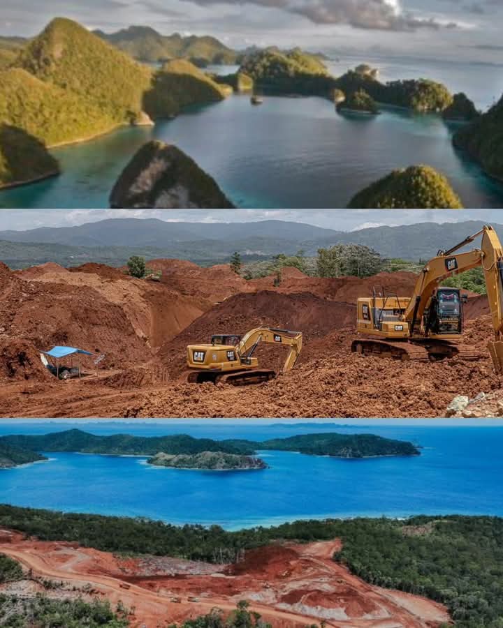 Greenpress Indonesia Desak Pemerintah Hentikan Aktivitas Tambang di ...